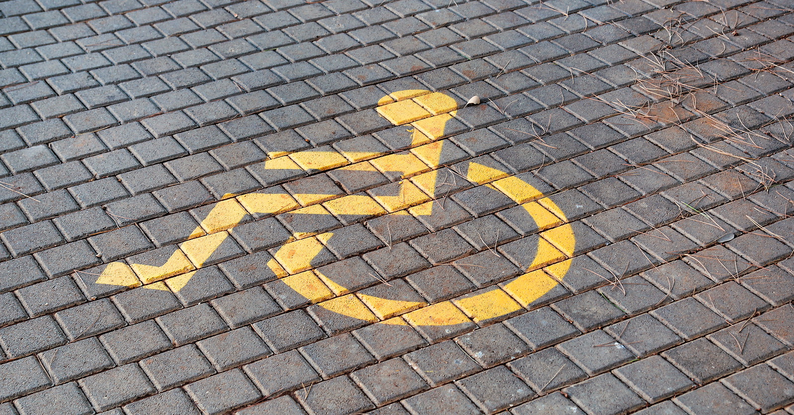 The missing disability sign: a look into disability rights in Thailand