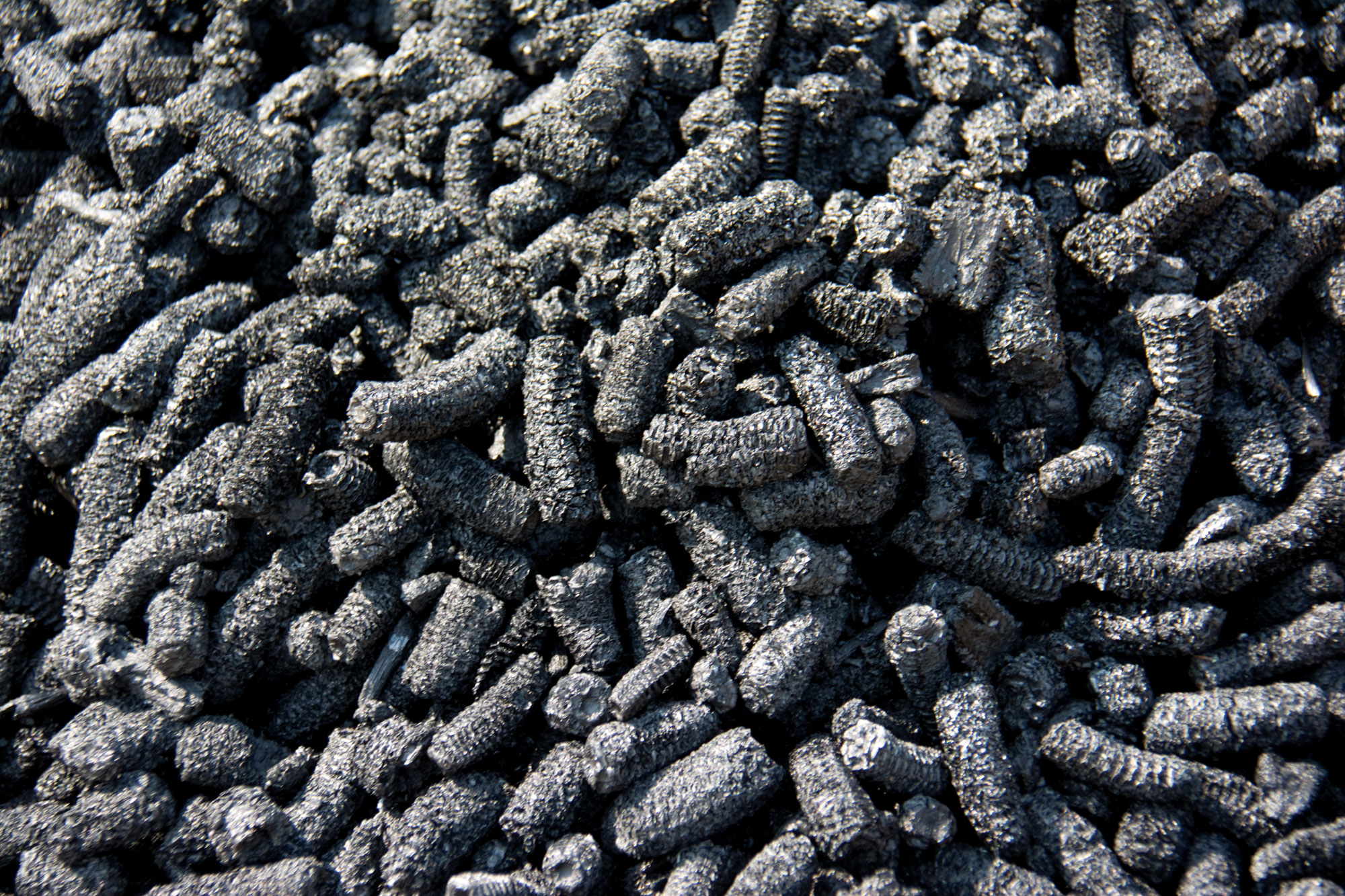 Biochar: Chiang Mai’s Burning Cure? - Chiang Mai Citylife