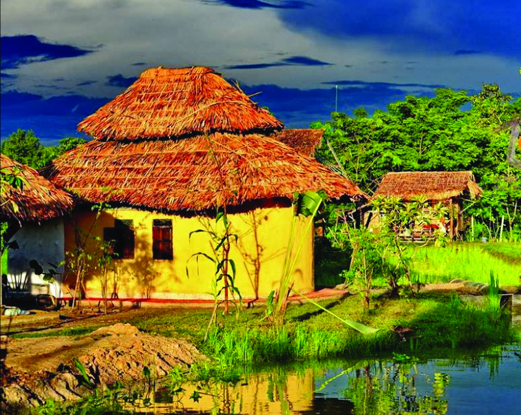 Organic farmstays in Chiang Mai - Chiang Mai Citylife