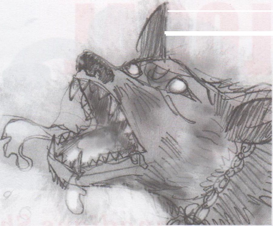 Rabies in Thailand - Facts & Fiction