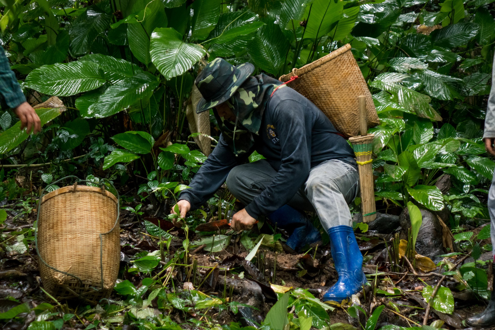 Helping the environment - tree planting in Mae Kampong