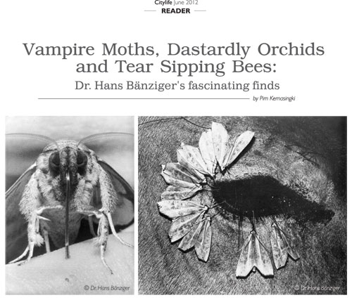 Vampire Moths, Dastardly Orchids and Tear Sipping Bees: Dr. Hans ...