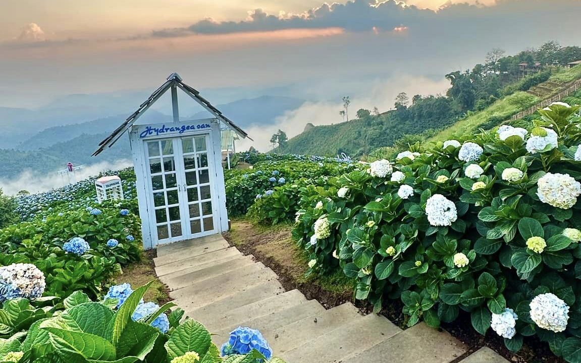 Chiang Rai Tea & Coffee Southern Route - Chiang Rai & Phayao - Amazing ...