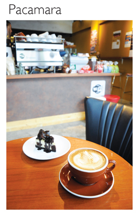 Pacamara