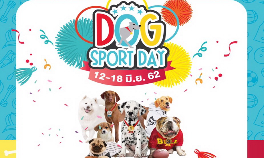 Dog Sport Day