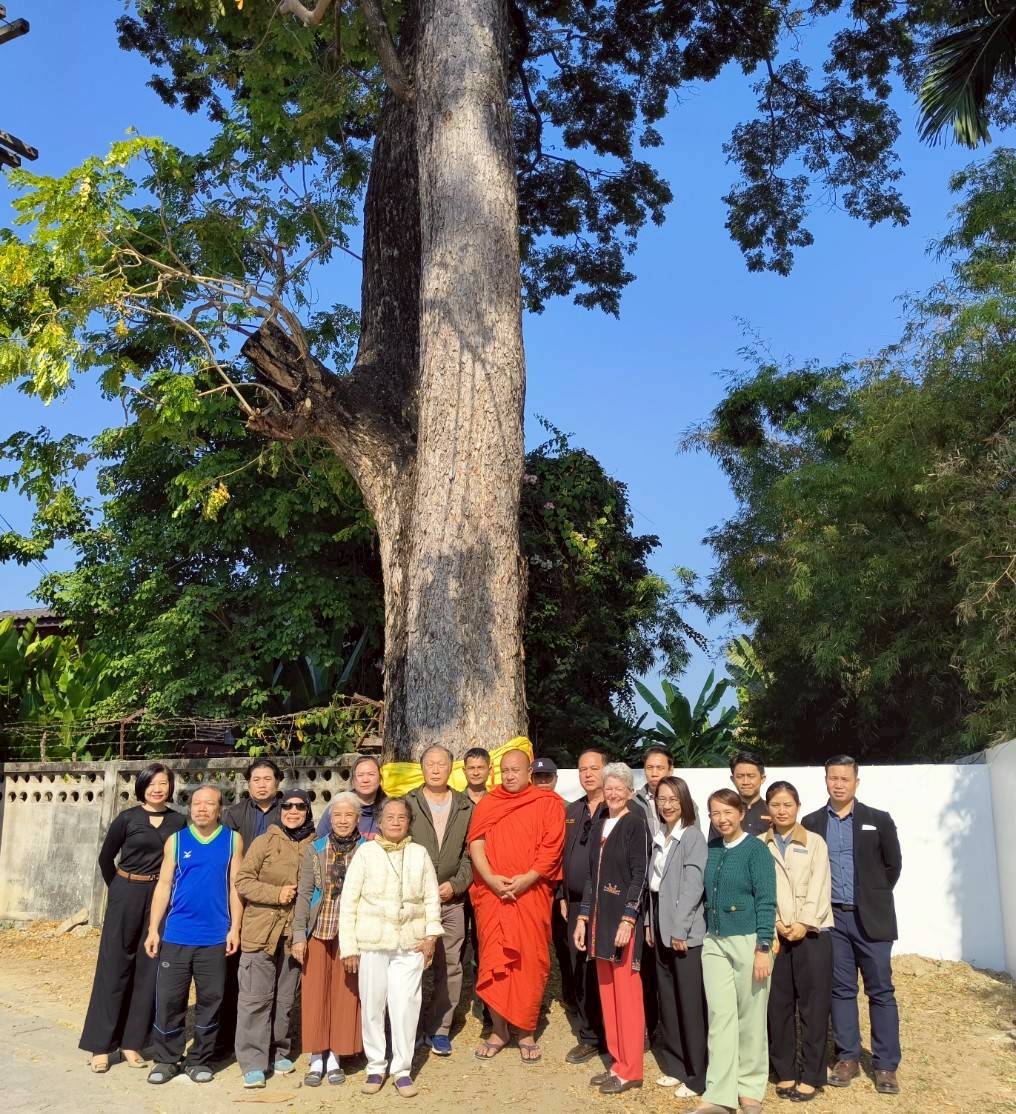 Refreshing Ordination Cloth on the Heritage Rain Tree at 137 Pillars ...